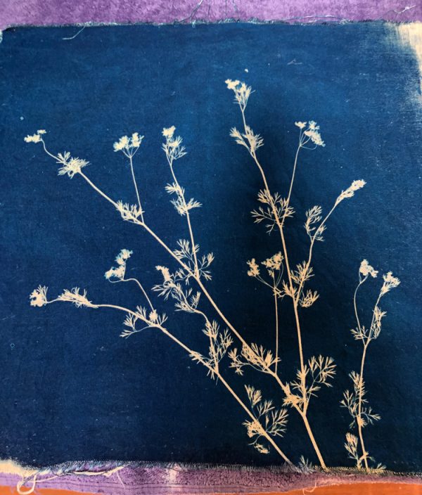 How to Make Cyanotypes on Fabric - Otherwise Amazing